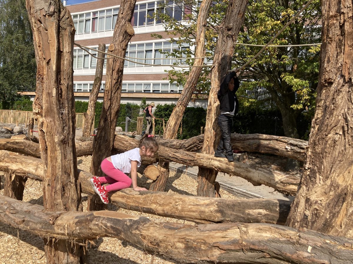 Huibersschool - Zandraket